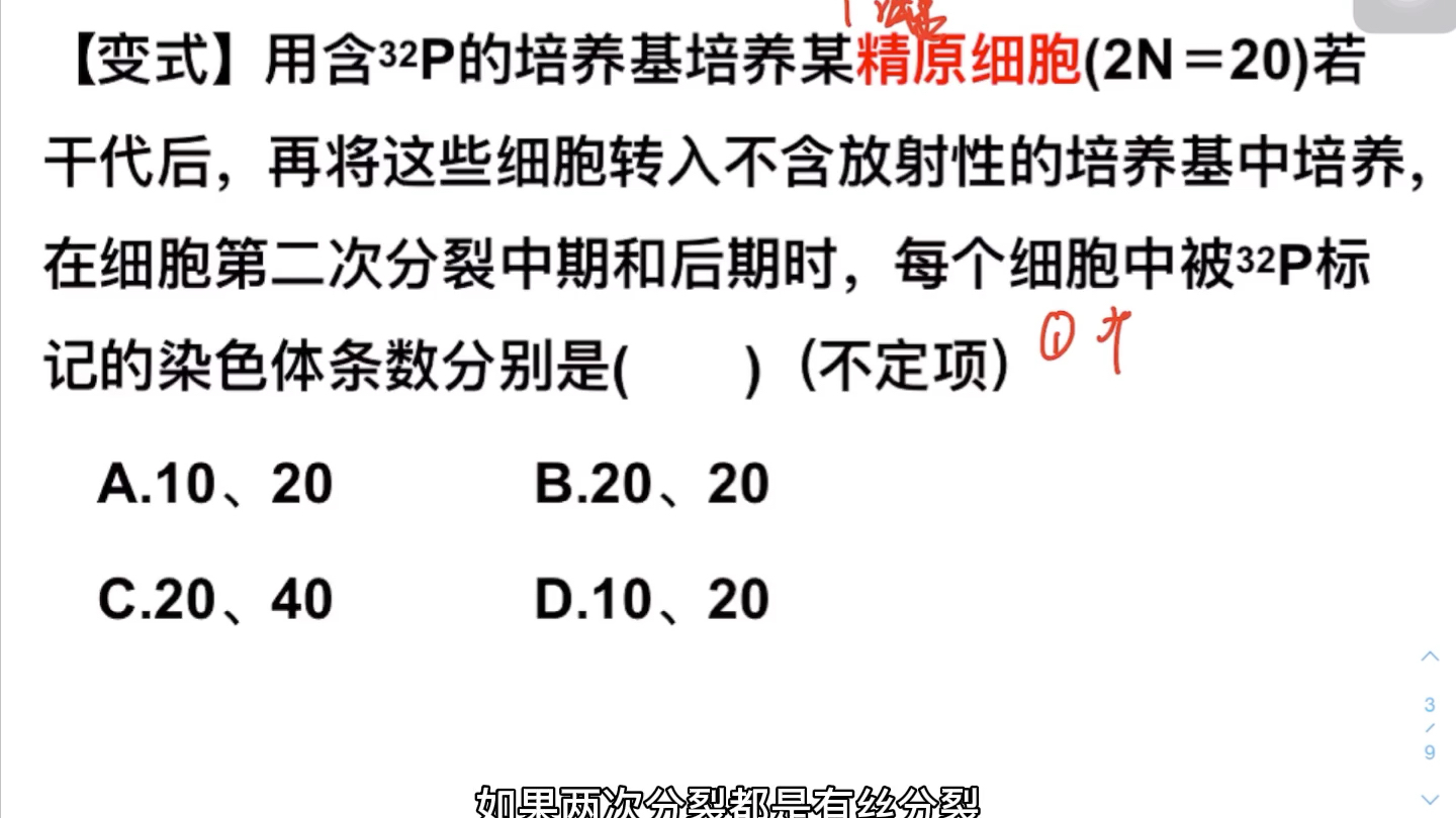 细胞增殖中,同位素标记后所占的比例问题