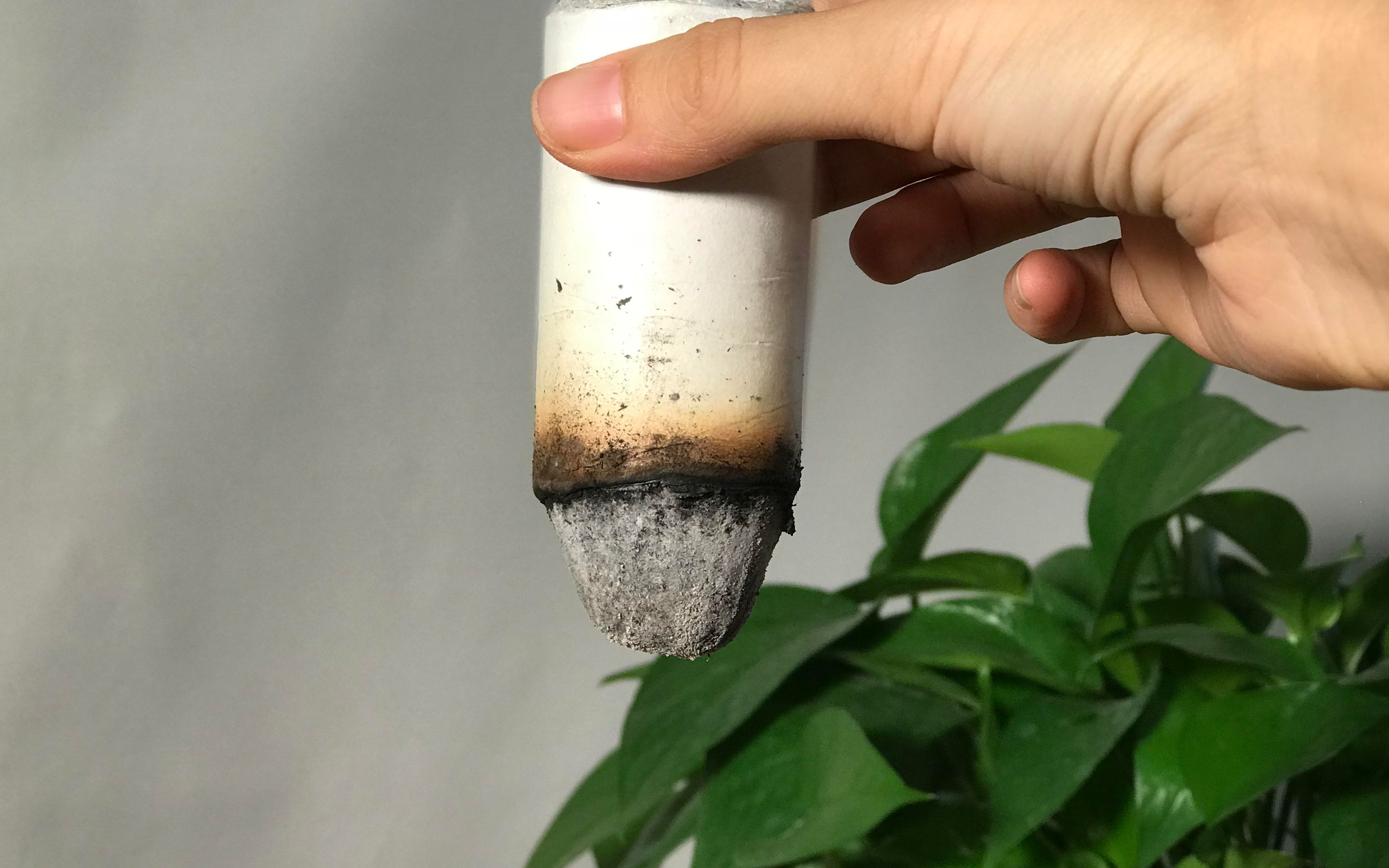 正确的艾灸方法,艾灸什么时候做最好,方子宜艾灸