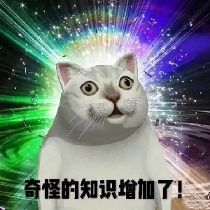 我只是单纯的npc 
