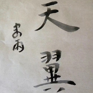 史雨书画 