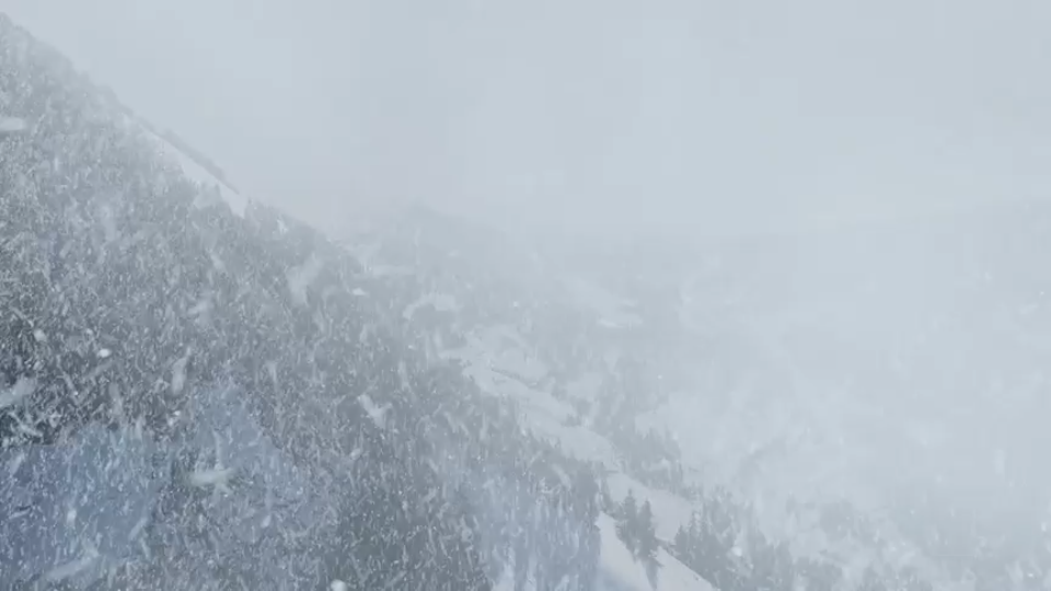 中年人都应该看的电视剧80后不容错过的电视剧