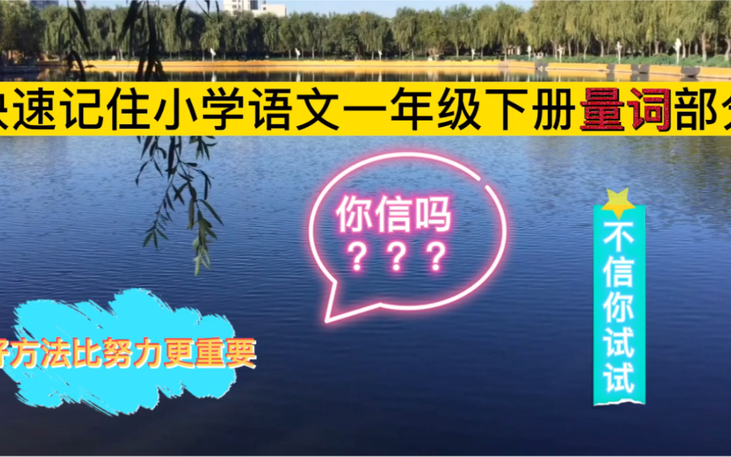 1分钟记住小学语文量词部分你信吗?