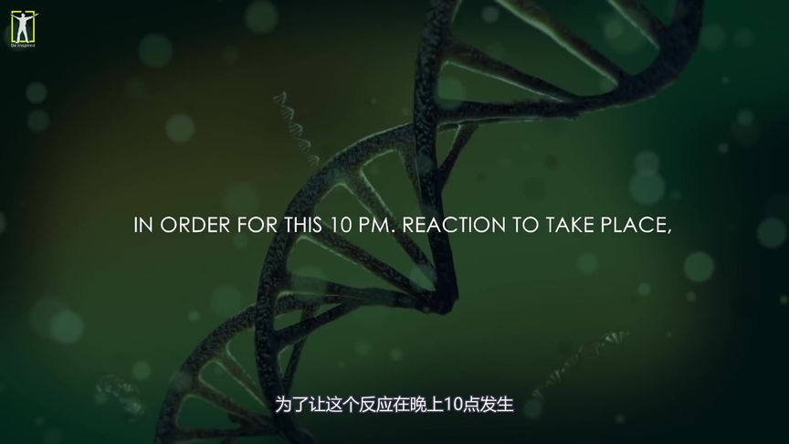 真正告诉你:为什么亿万富翁选择凌晨4:00起床(已翻译)