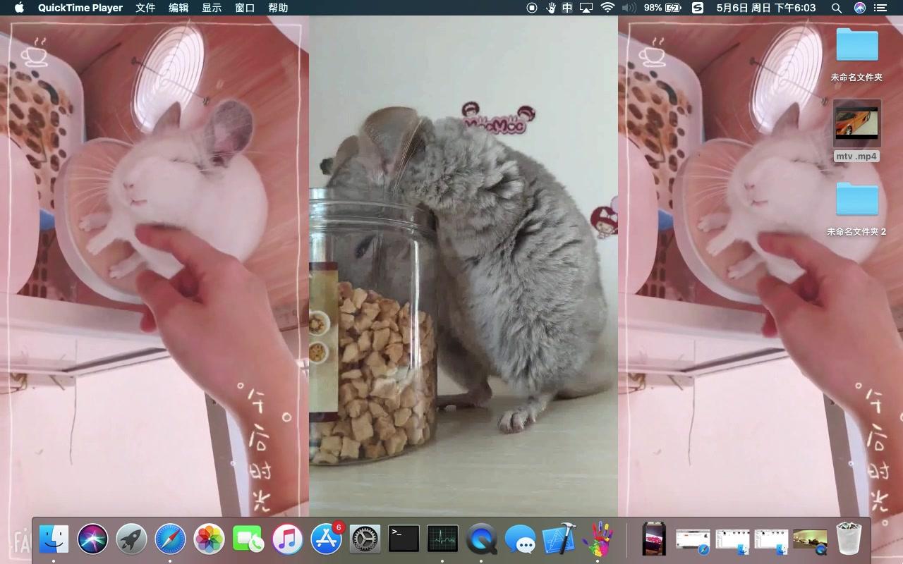 mac 动态壁纸软件 iWall ,把“可爱的龙猫”做为您Mac动态壁纸,动态...