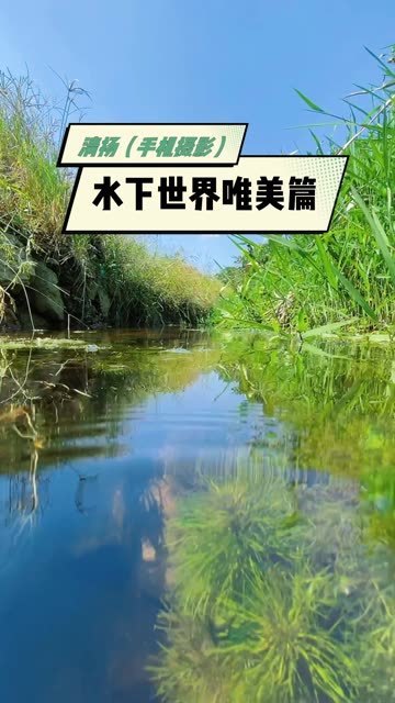 屏住呼吸,带你看看水下世界