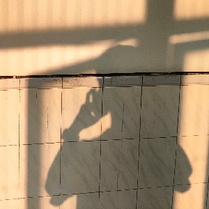 中杯恒心七分糖去冰 