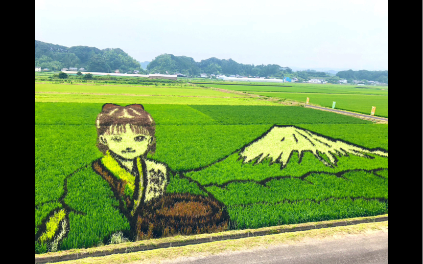 日本的稻田画