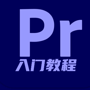 PR教程入门 