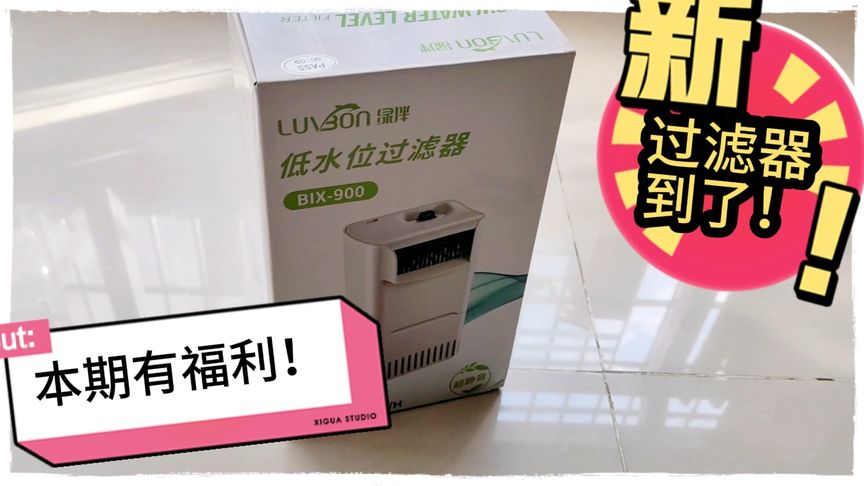 #养龟日志#过滤器到了!龟缸布置完成!本期有福利,请看到最后!