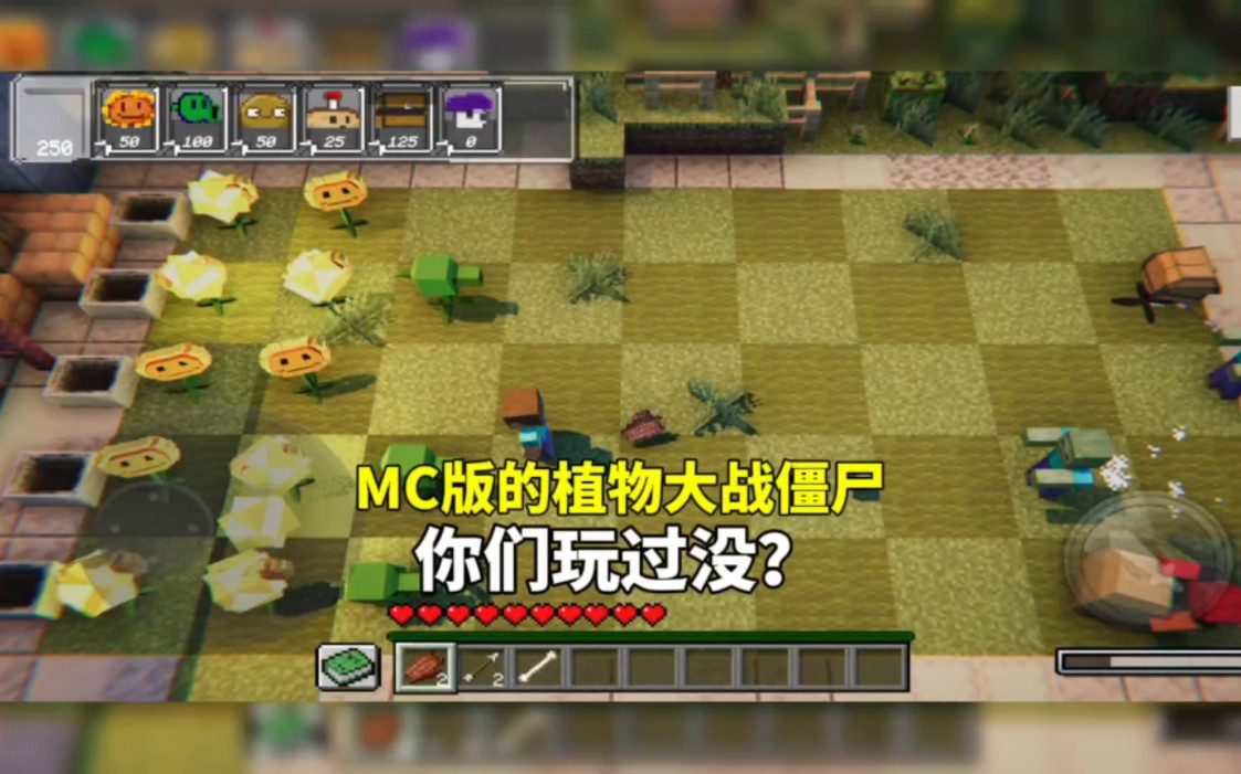 植物大战僵尸MC版:第1关,居然还有MC版,而且小白出现这是结合版_...