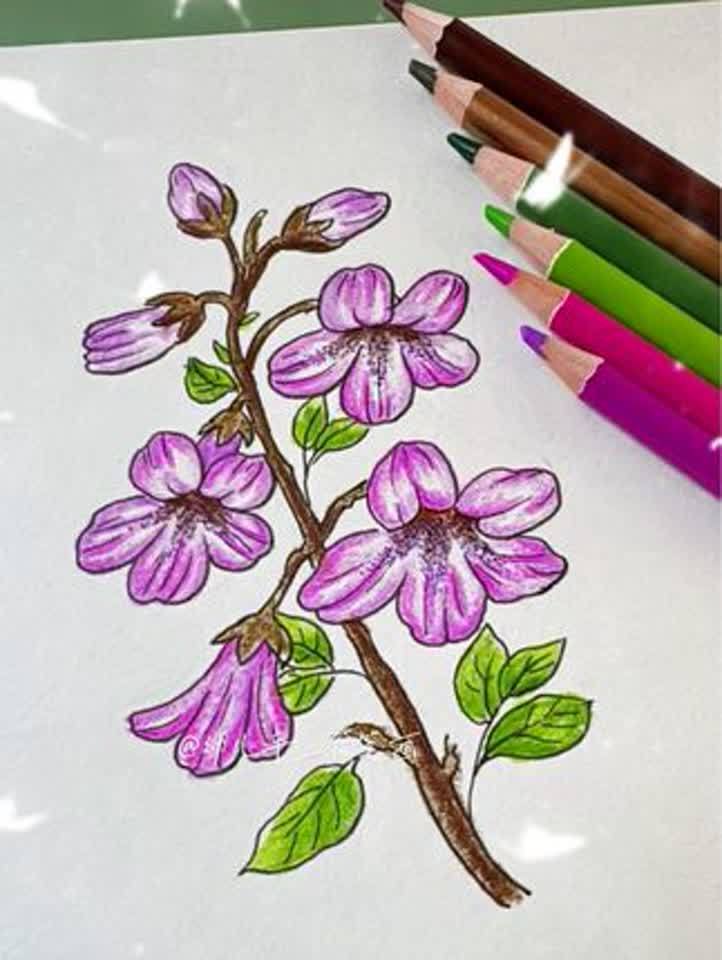 你能得出我画的是什么花吗? #简易花草画法 #彩铅手绘 #儿童画 #零...