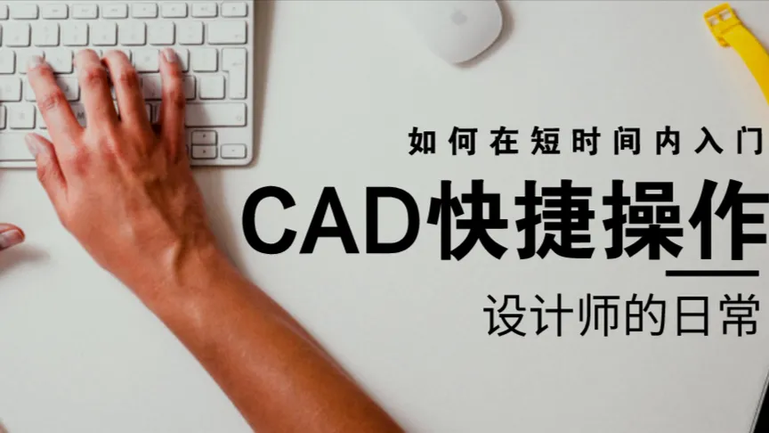 CAD快捷键操作(四)点、点样式、定数等分、定距等分