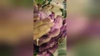 海尔卡萨帝洗衣机――神奇的空气洗!