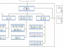 管理信息系统 (30)