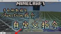 手机"自定义"指令? 手机版数据包改如何使用, function