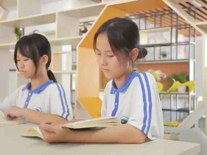 东莞寮步华创未来学校的宣传片