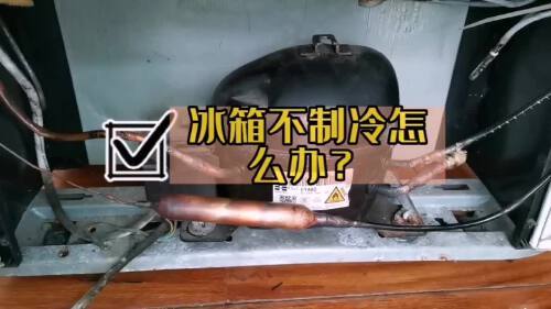 冰箱不制冷怎么办?我教你们一招来辨别到底是哪里出题?