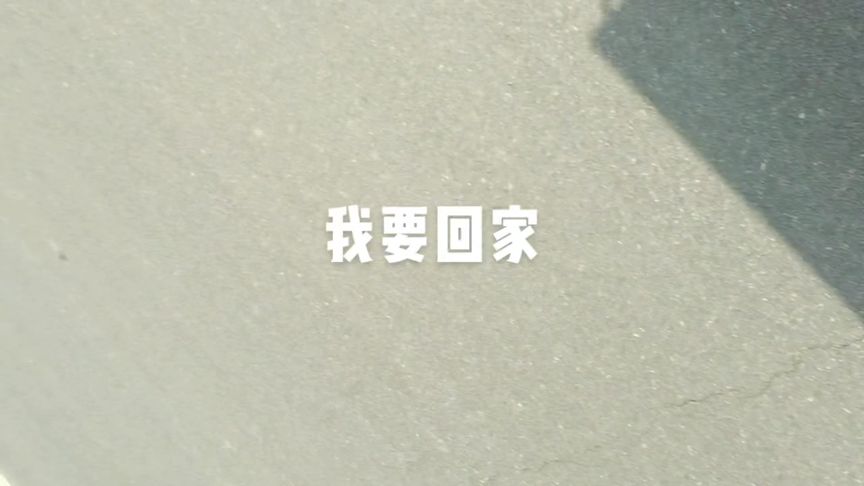 绿码,24小时核酸报告,行程码不带星