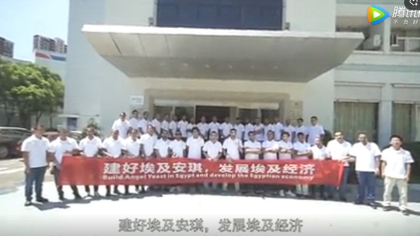 建好埃及安琪,促进埃及经济:安琪酵母埃及员工毕业啦