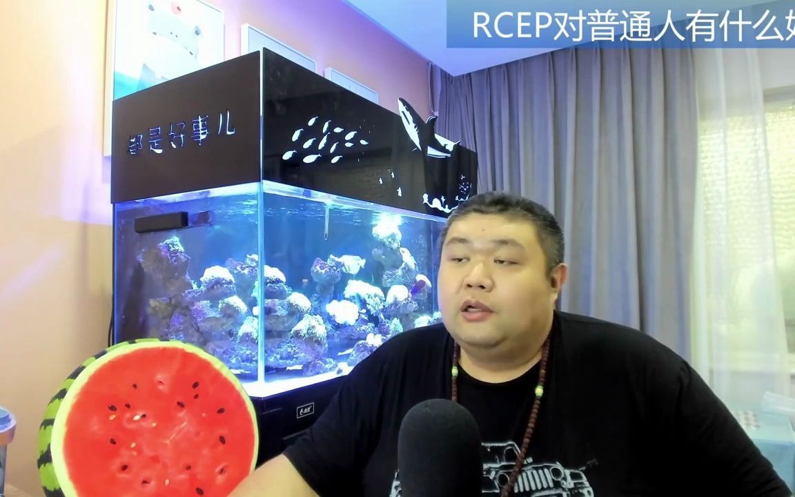 博通硬事--RCEP签署了对中国的普通人有什么好处?以个人经历为例来...