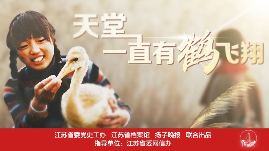 天堂一直有鹤飞翔!仙鹤姑娘徐秀娟留下一个真实的故事