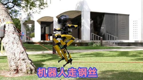 世界第一台兼具行走和飞行功能的机器人,走钢丝滑滑板轻松完成