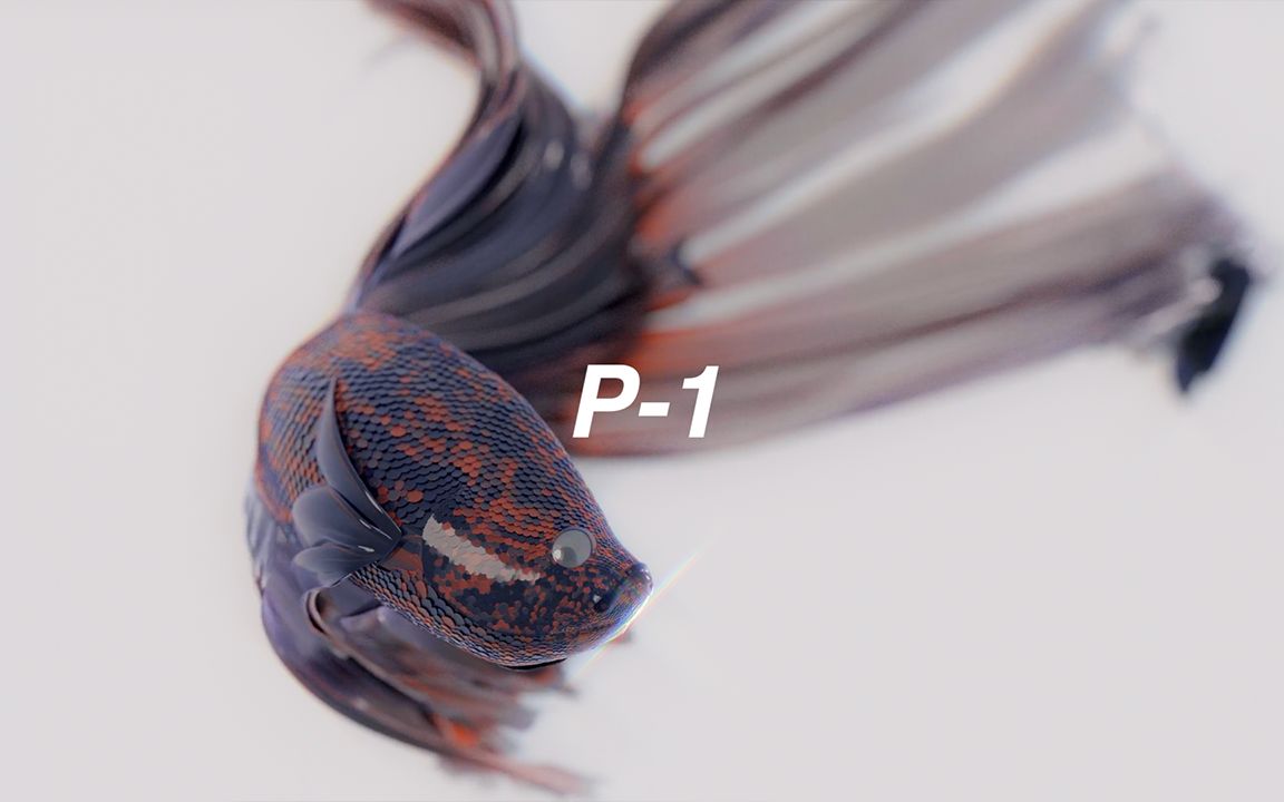 ߐ� 用blender做 花一般的 鱼儿 P-1 / 几何节点 / Geometry Nodes 教程