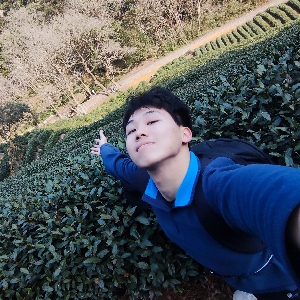 夏天啊天天 