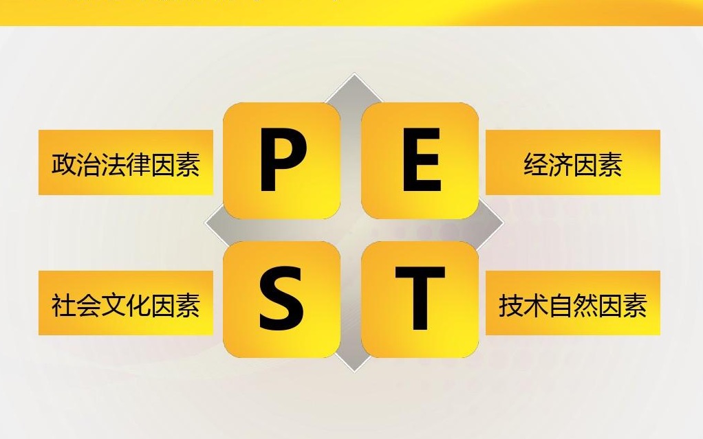 PEST分析是什么?看这一个视频就够了