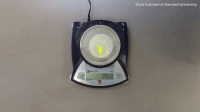 电脑元件+丝织物,哈佛大学研发出可穿戴式的传感器套装