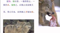 《狼》——微课