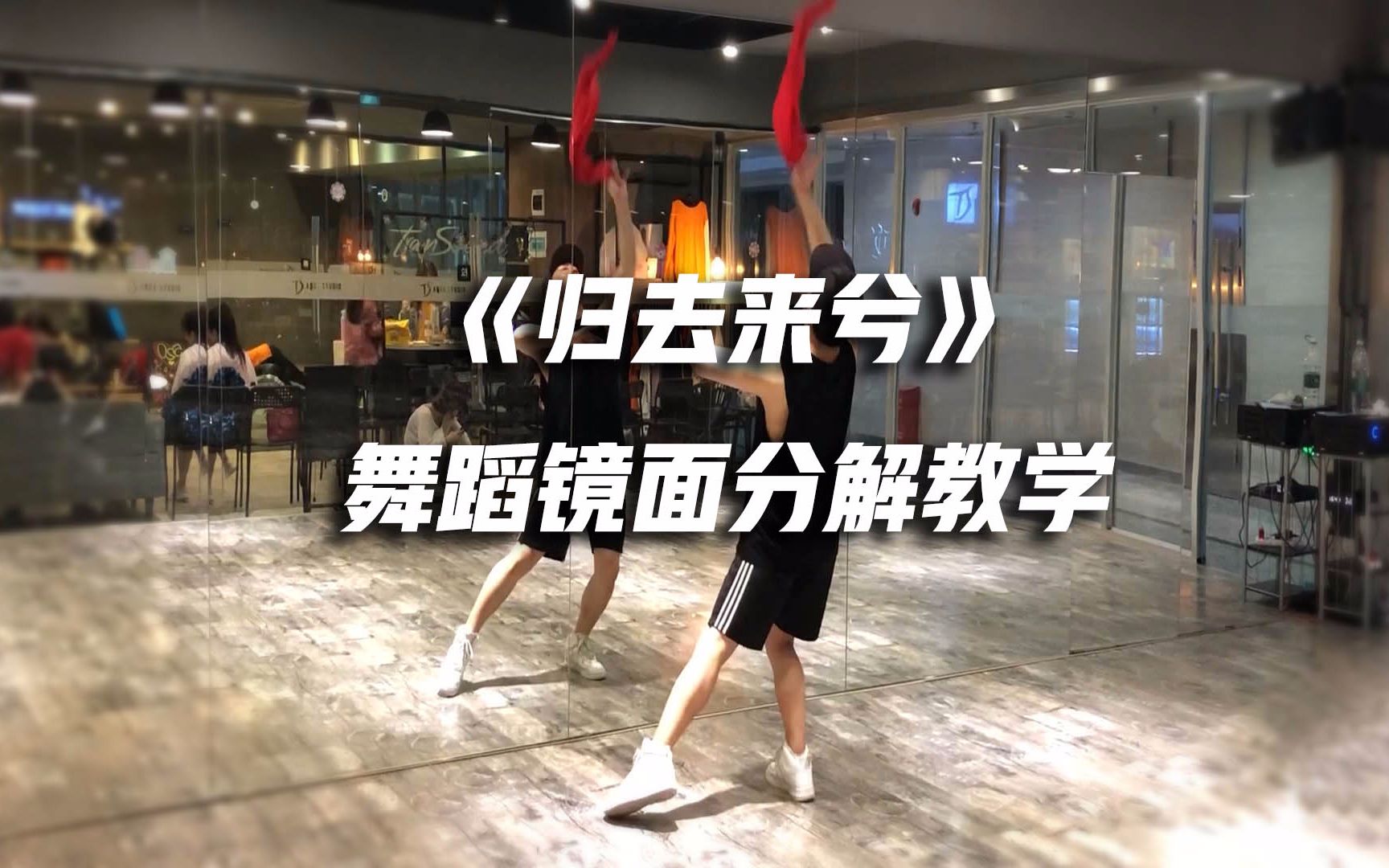 【口袋教学】白小白编舞《归去来兮》舞蹈镜面分解教学