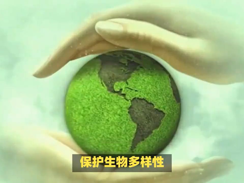 FSC认证是什么?
