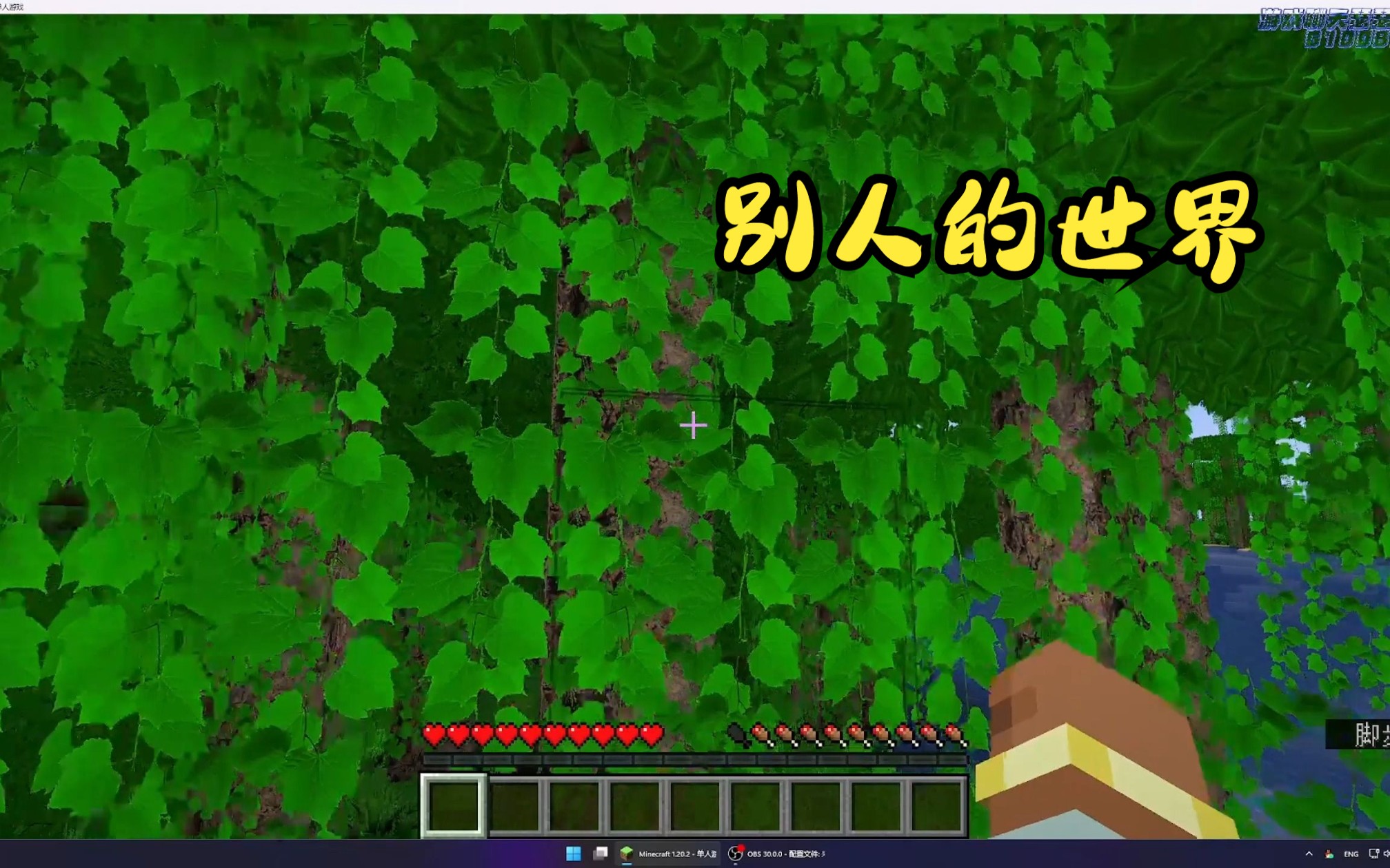 超真实我的世界材质包分享