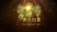 勇先创景经典案例