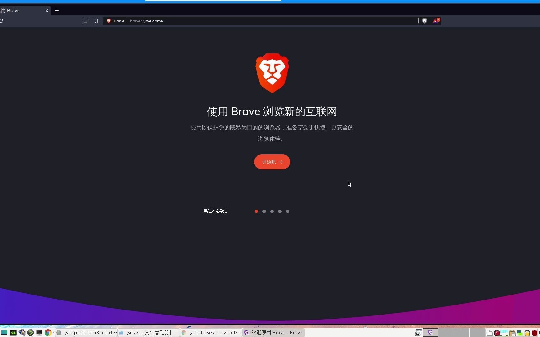 新版本的Brave浏览器默认主题很养眼呀,突然觉得喜欢,原来浏览器主题...