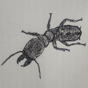 IgnisPisces 