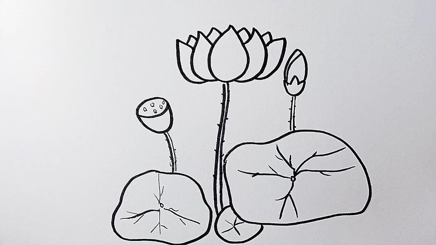画荷花,其实真的很简单,荷花简笔画教程