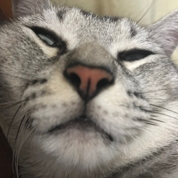 -花二郎- 