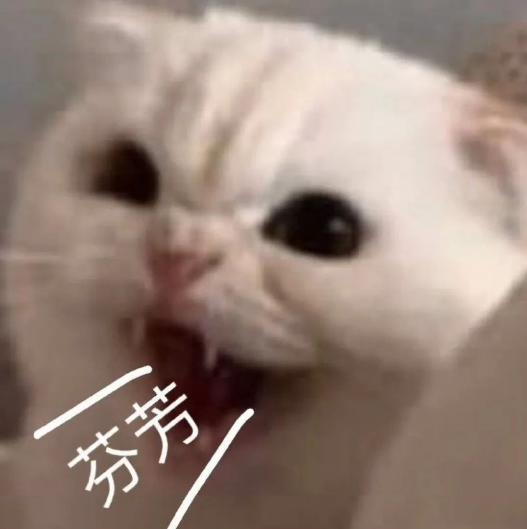 你在教我做事啊111 