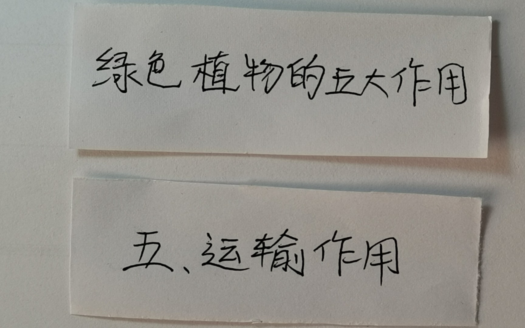 植物的五大作用之五——运输作用 导管 筛管(人教版初中生物七年级...