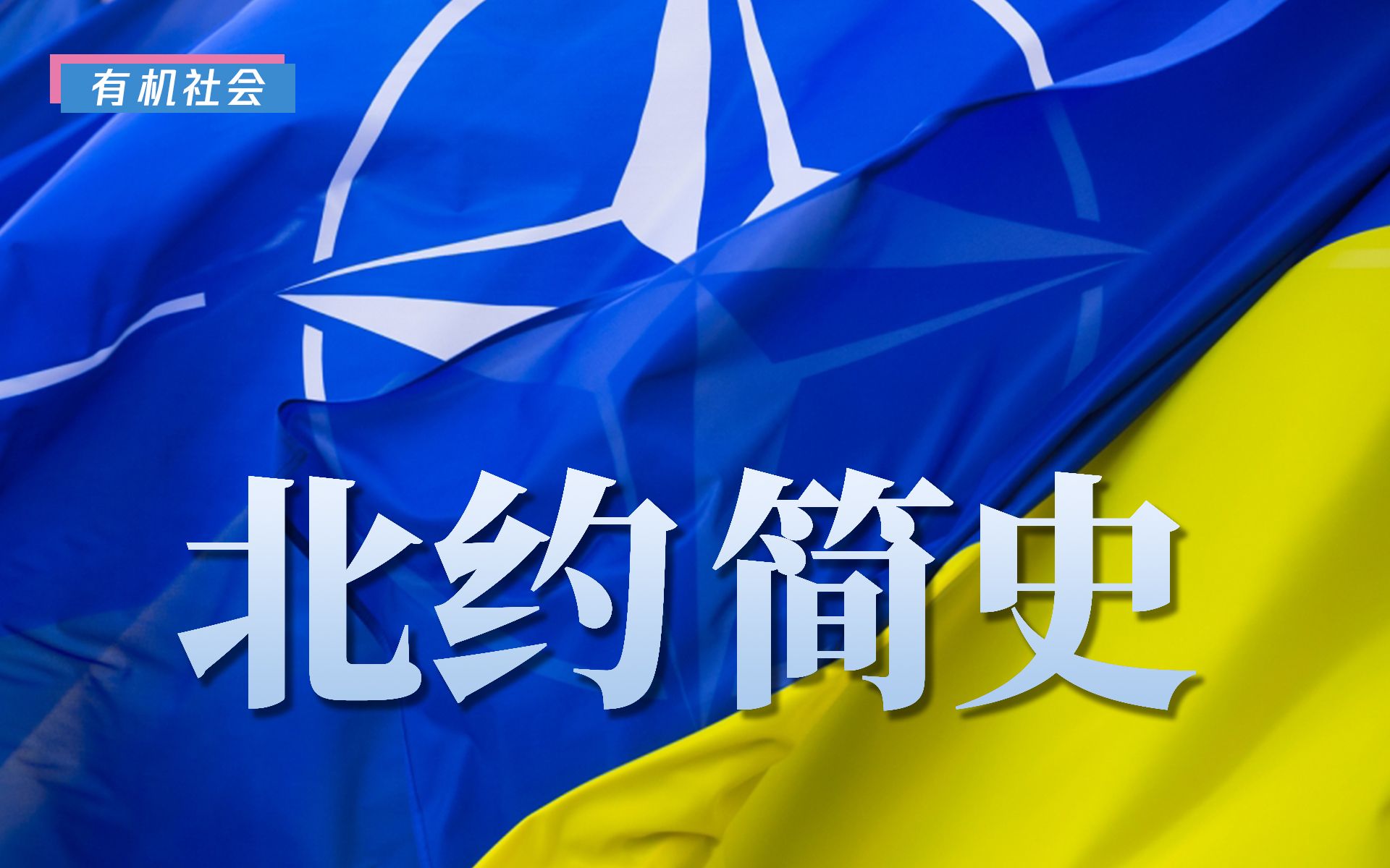 世界最大"恐怖组织"如何炼成?10分钟看懂北约历史【有机社会】