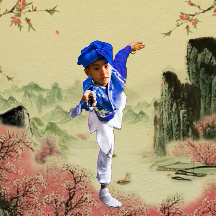武术小子杨振兴