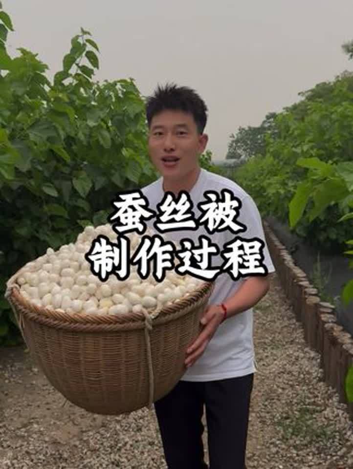 蚕丝被的制作过程#蚕丝被#蚕丝 #厦门阿波
