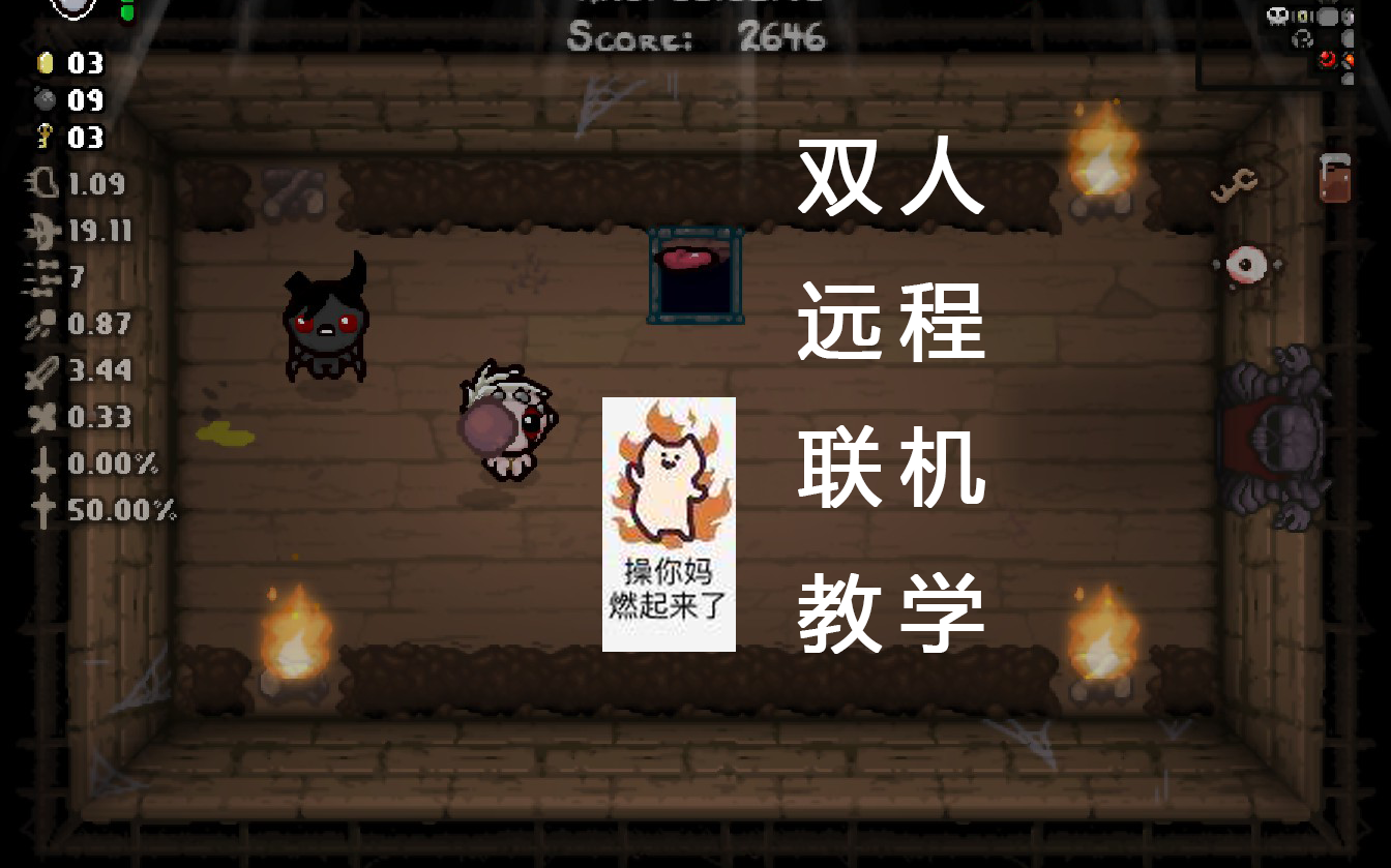 【以撒的结合】双人远程联机虚拟手柄教程