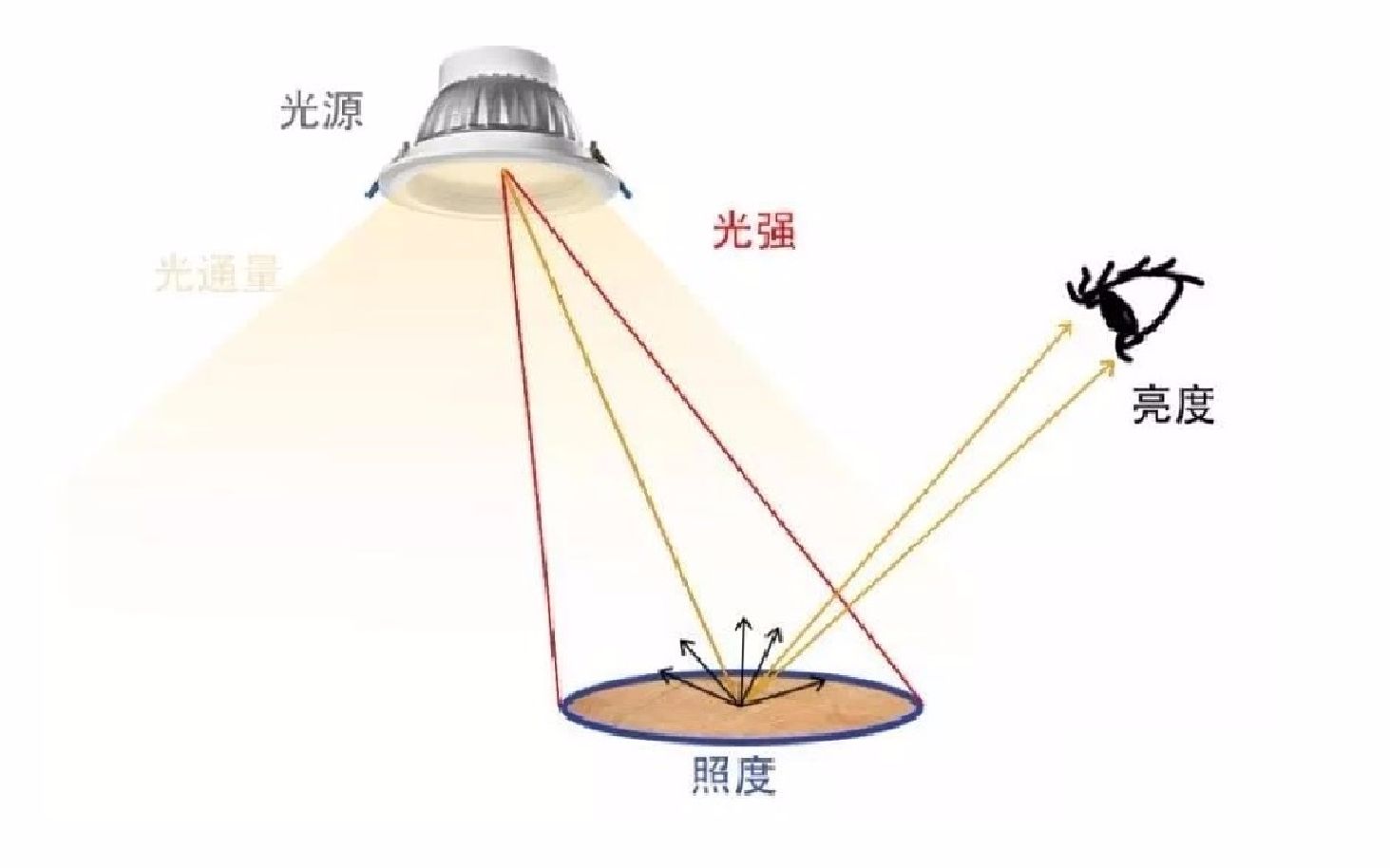如何用天正电气软件计算照明的照度?老师用实例手把手来教你!