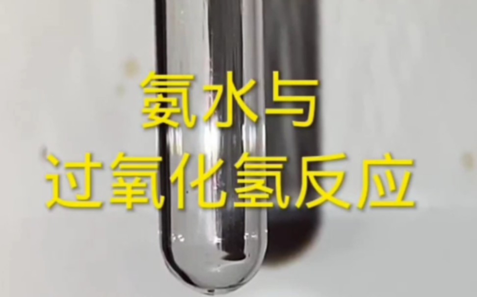 【化学实验】磷酸氢铵催化浓氨水和过氧化氢生成氮气