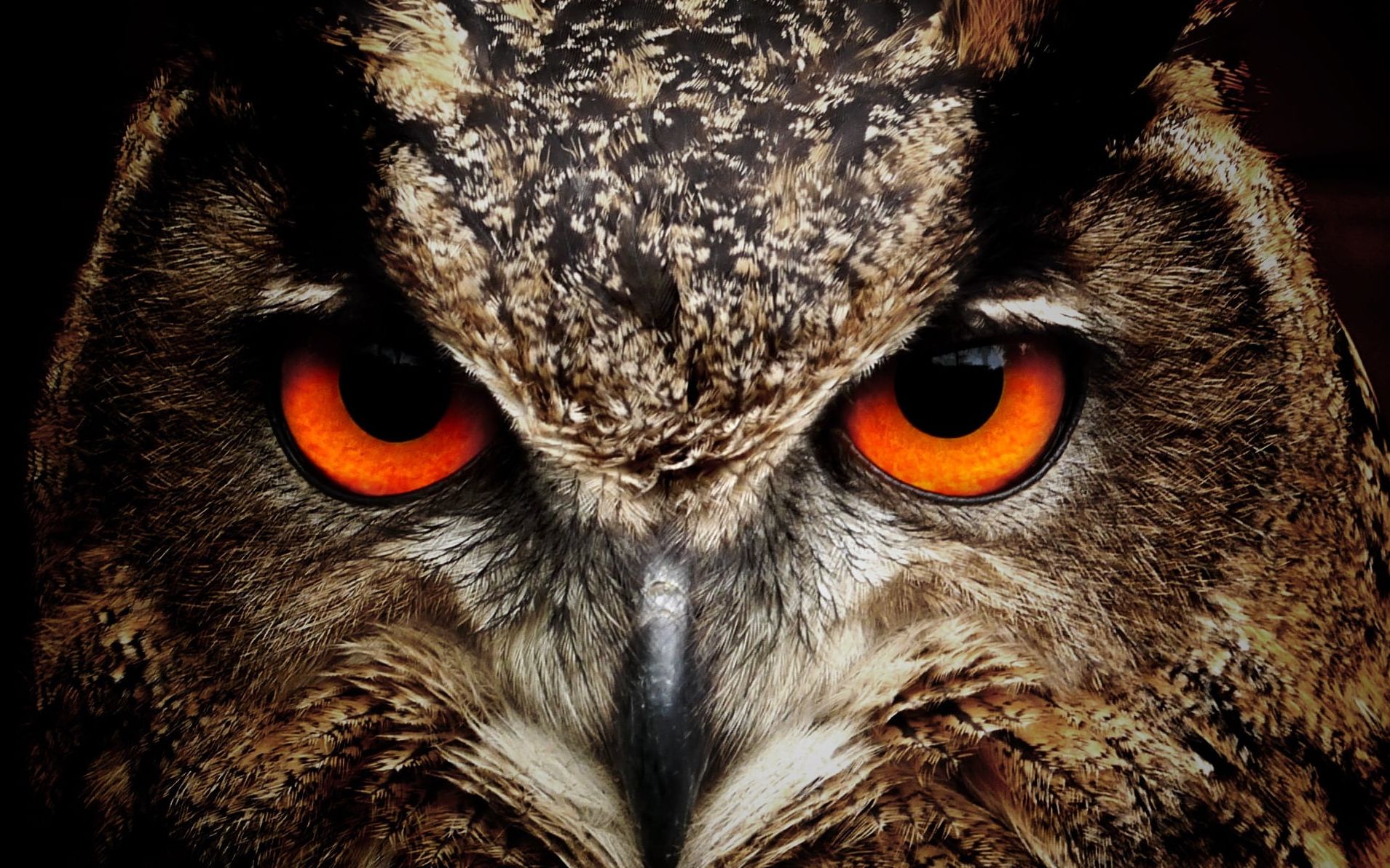 浙教版科学七年级下册-浙教版科学七下全套网课，转载的，侵权立删