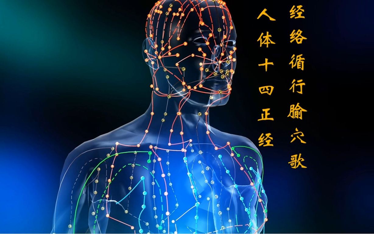 人体经络腧穴穴位轻松记之十四正经十二经脉任脉督脉经脉循行图及...