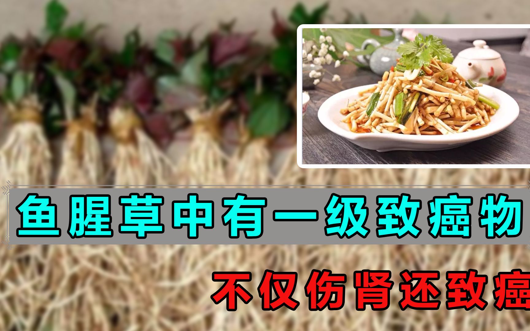 鱼腥草中含有一级致癌物,不仅伤肾还致癌?是不是真的?